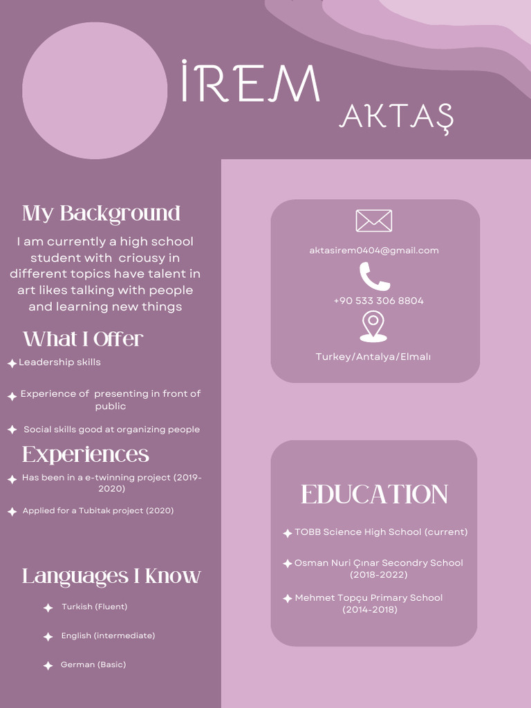 cv-example-pdf