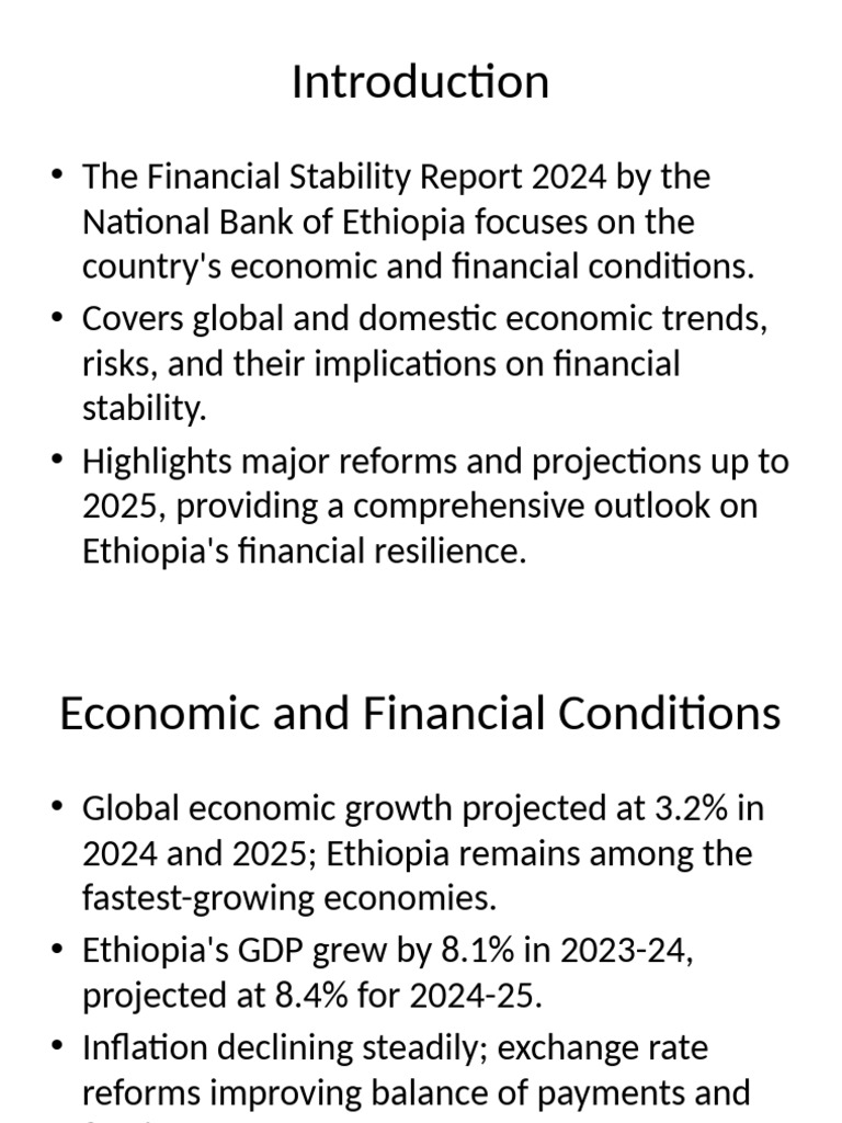 Financial Stability Report 2024 Summary | PDF