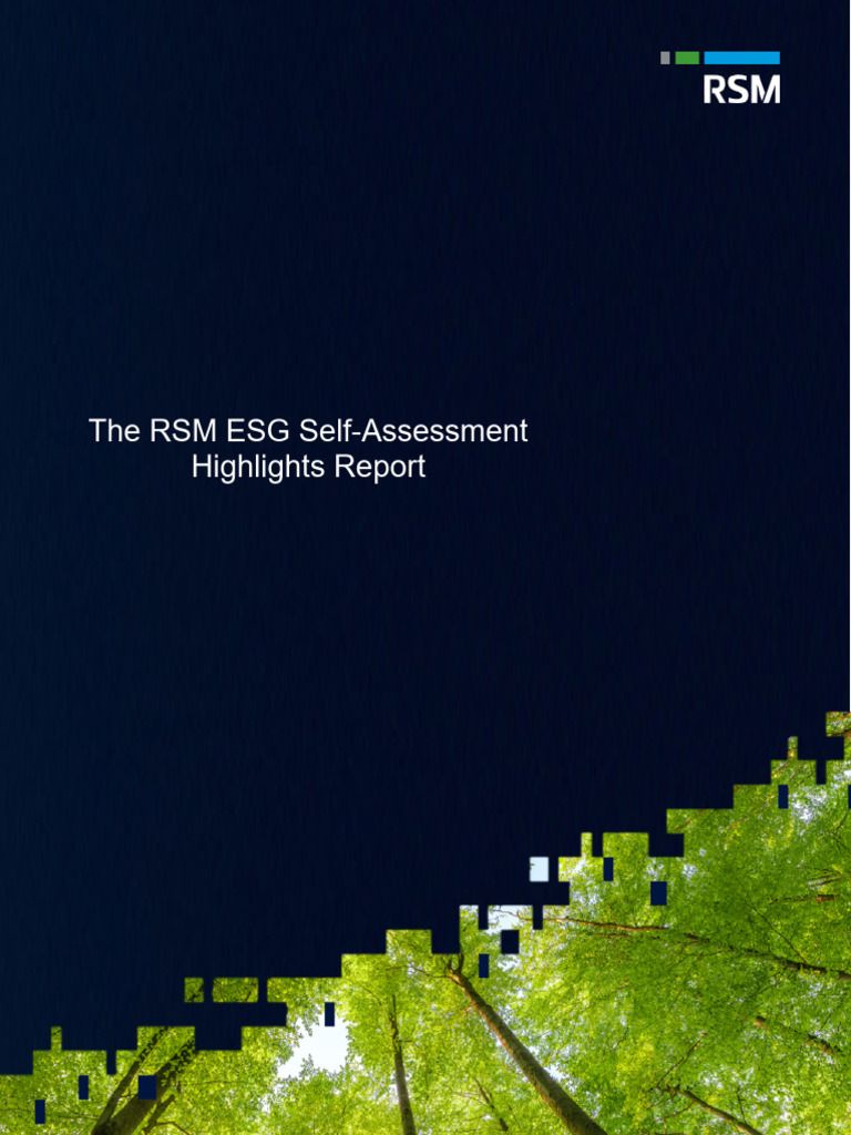 RSM ESG 360 Self-Assessment Tool - 27082024 1202 | PDF | Governance