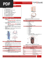 Standard Radiographic Technique Chart | PDF | Radiography | X Ray