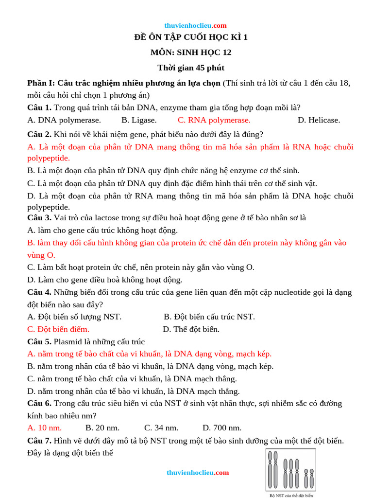 De On Tap Cuoi HK1 Sinh 12 KNTT 24 25 | PDF