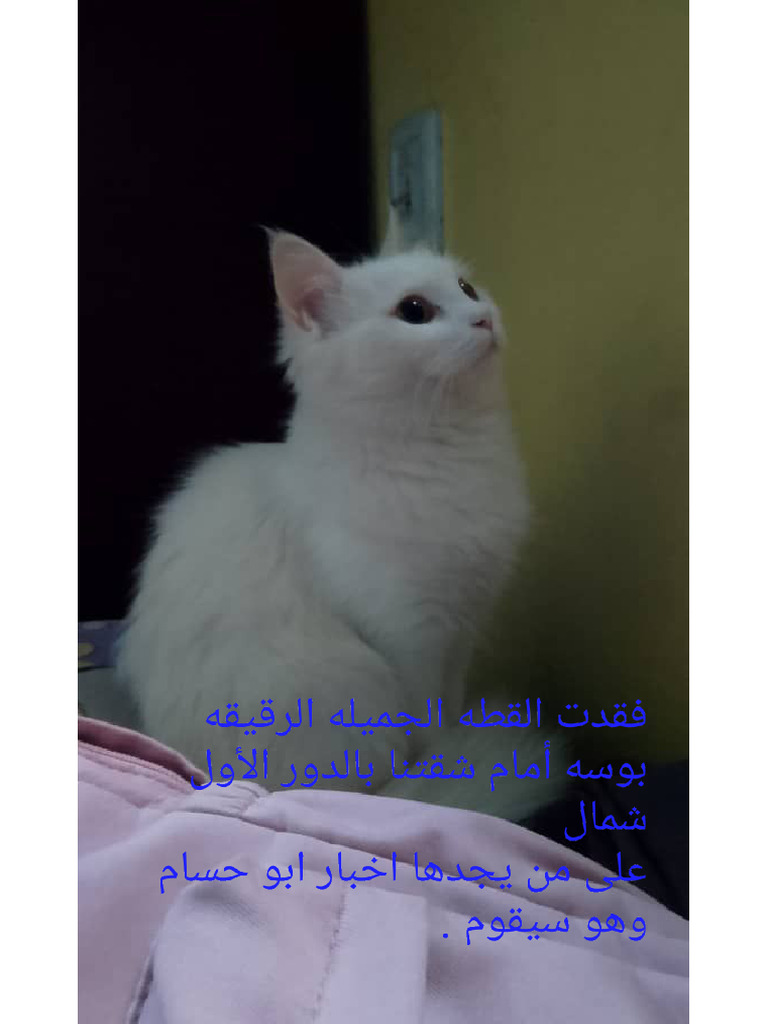 PDFReader 20241217 1916 | PDF