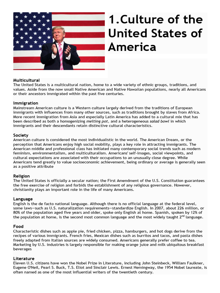 USA CULTURE | PDF | Multiculturalism | The United States