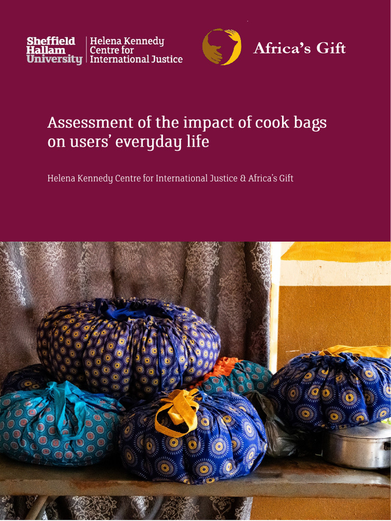 HKC-Africas Gift - Impact Report | PDF