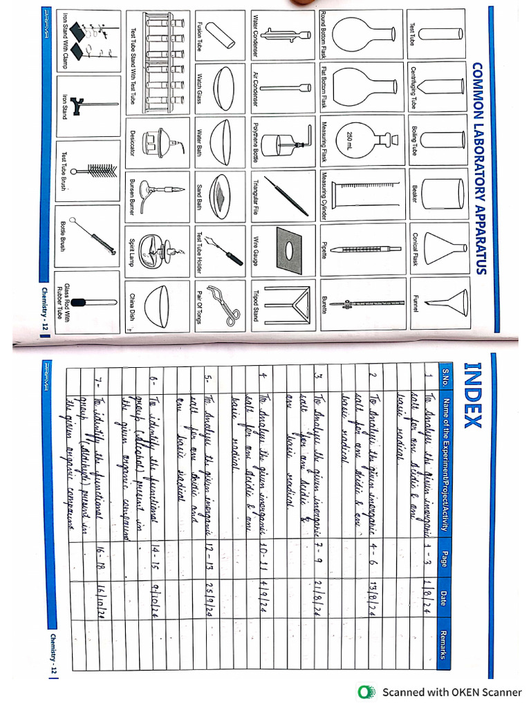 Chemistry Lab Manual | PDF