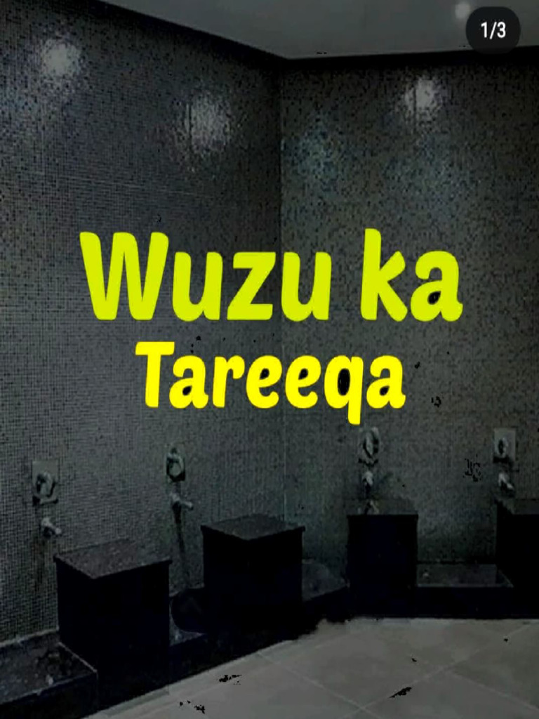 Wuzu: Steps and Importance in Islam | PDF