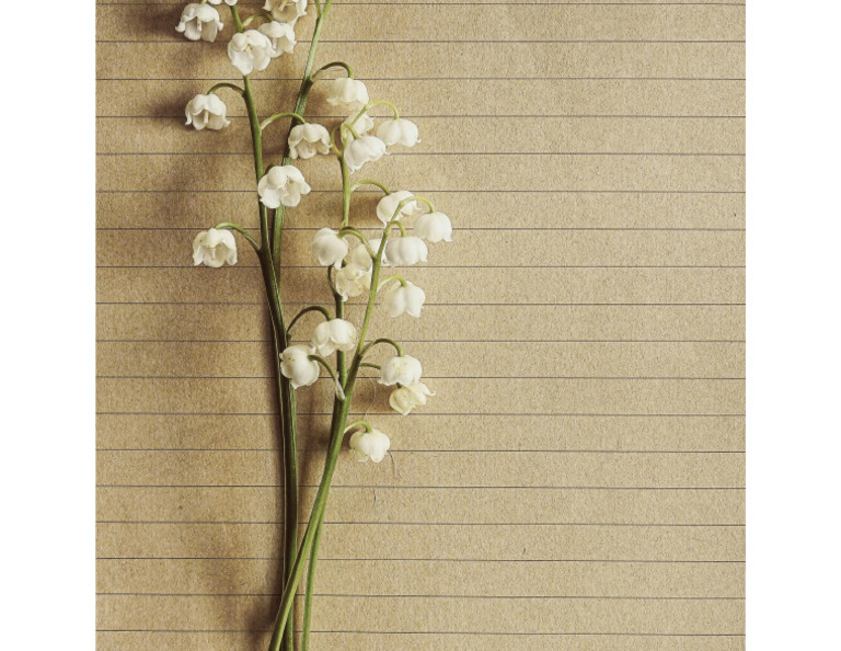 White Flower | PDF