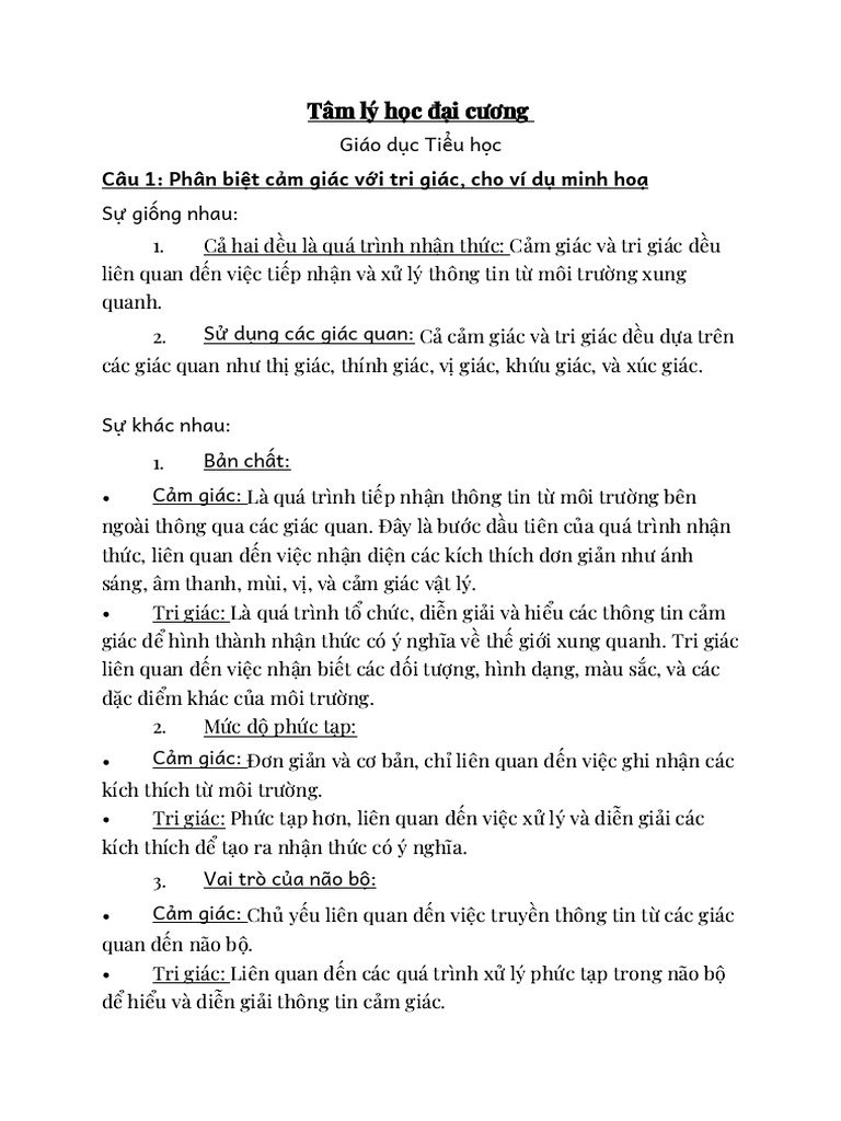 Nguyễn Thảo Duyên - MSSV 4906901017 | PDF