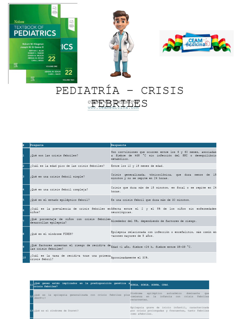 Crisis Febriles en Niños: Guía Completa | PDF | Epilepsia | Sistema ...
