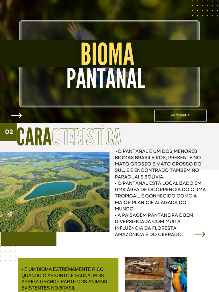 Bioma.pdf | PDF | Ambiente natural | Geociências