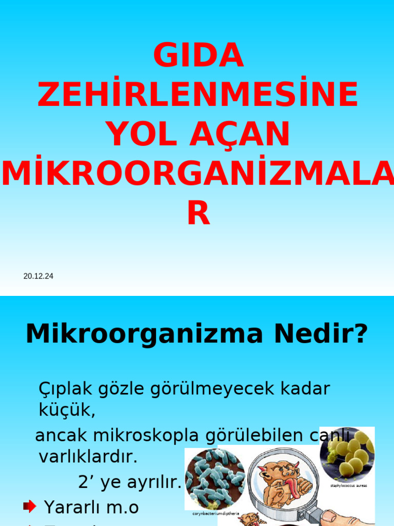 Gida Zehi̇rlenmesi̇ | PDF