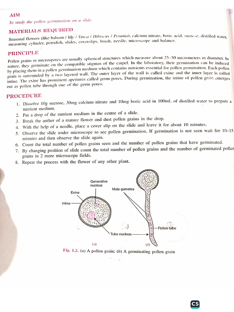 Experiment No. - 01 | PDF
