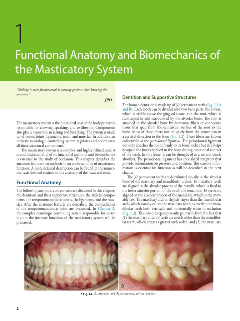 Libro 1 atm | PDF | Skull | Musculoskeletal System