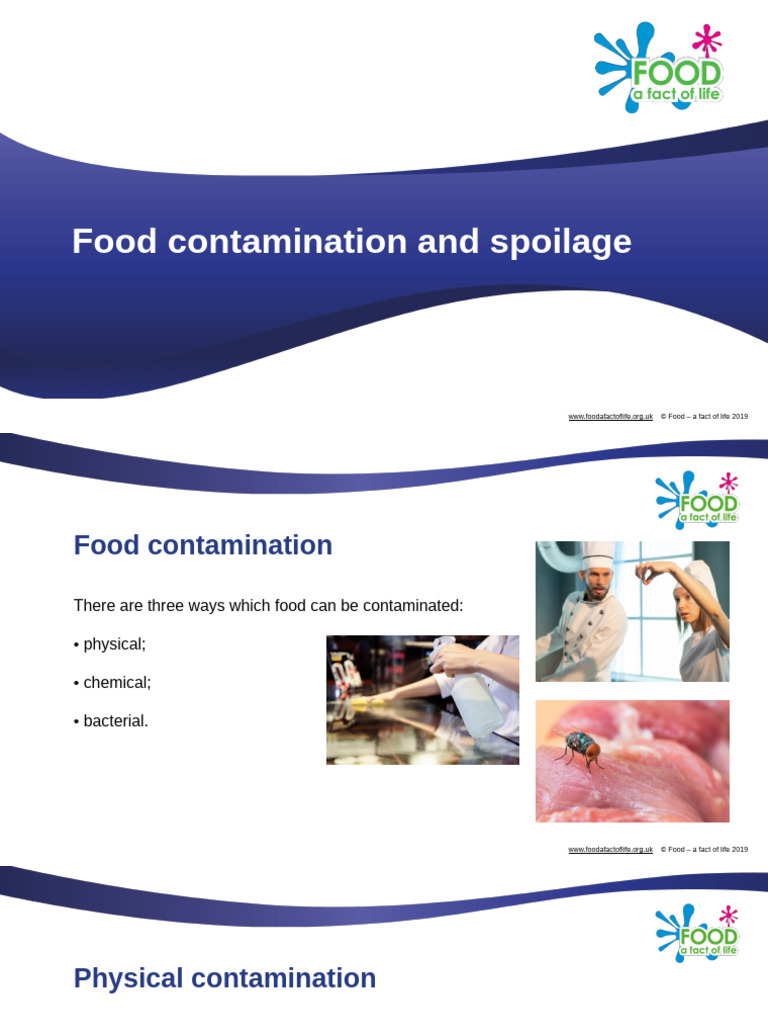 Food Contamination and Spoilage Overview | PDF | Yeast | Bacteria
