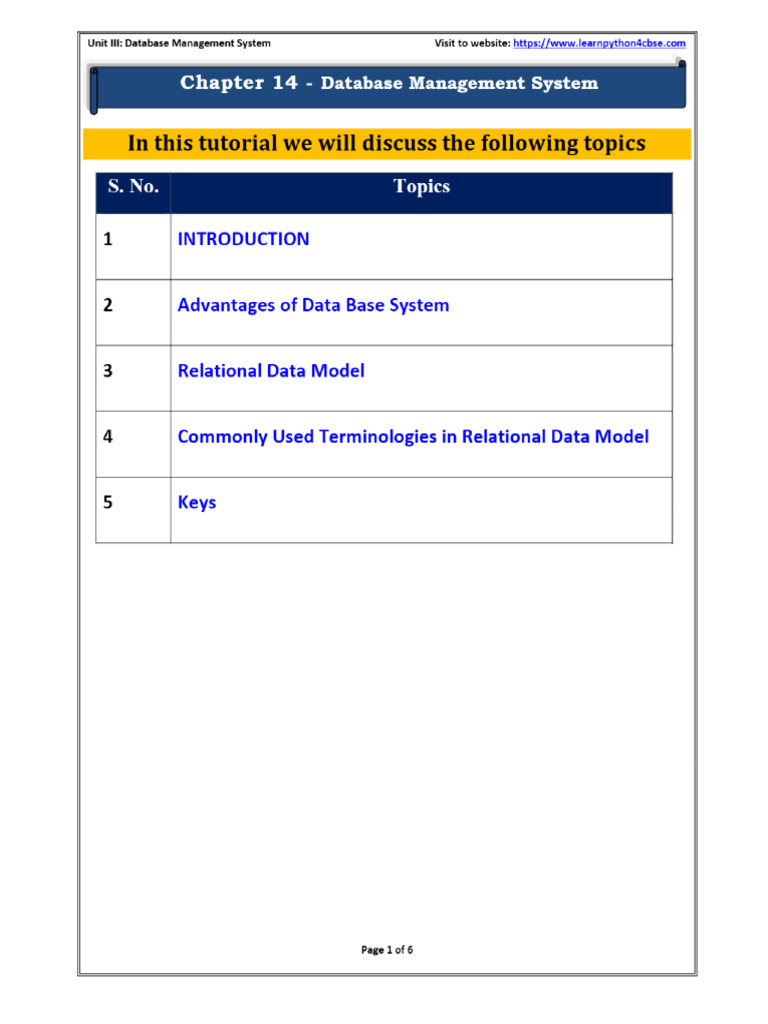 Database Management System | PDF