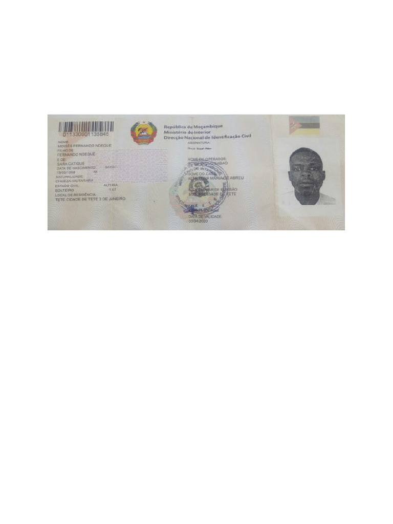 Transportador Naji | PDF