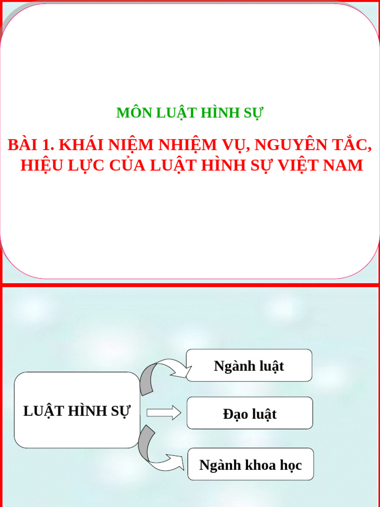 Luat Hinh Su - Bui Dinh Tien | PDF