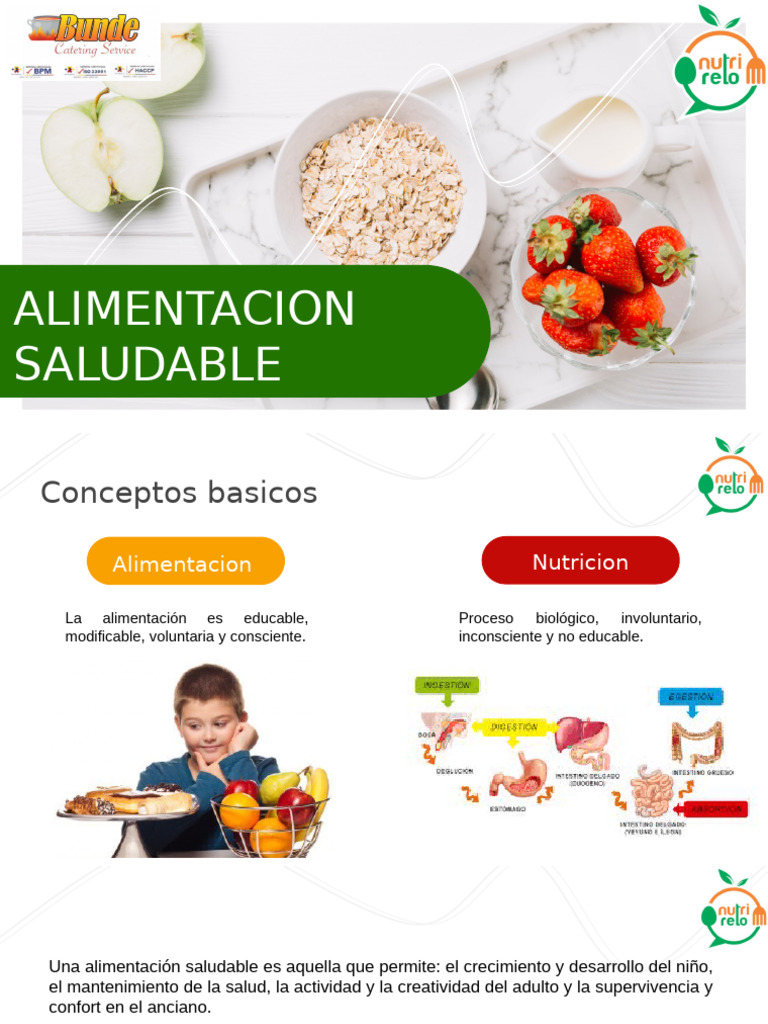 Alimentación Saludable y Productividad | PDF | Alimentos | Nutrición