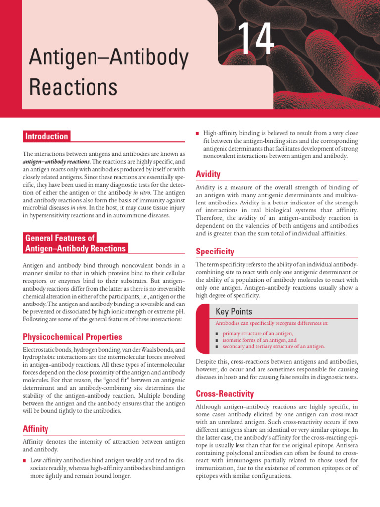 Antigen-Antibody Reaction Overview | PDF | Antibody | Serology