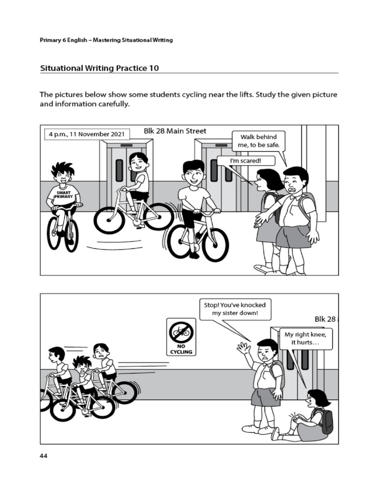 Principal Complaint | PDF