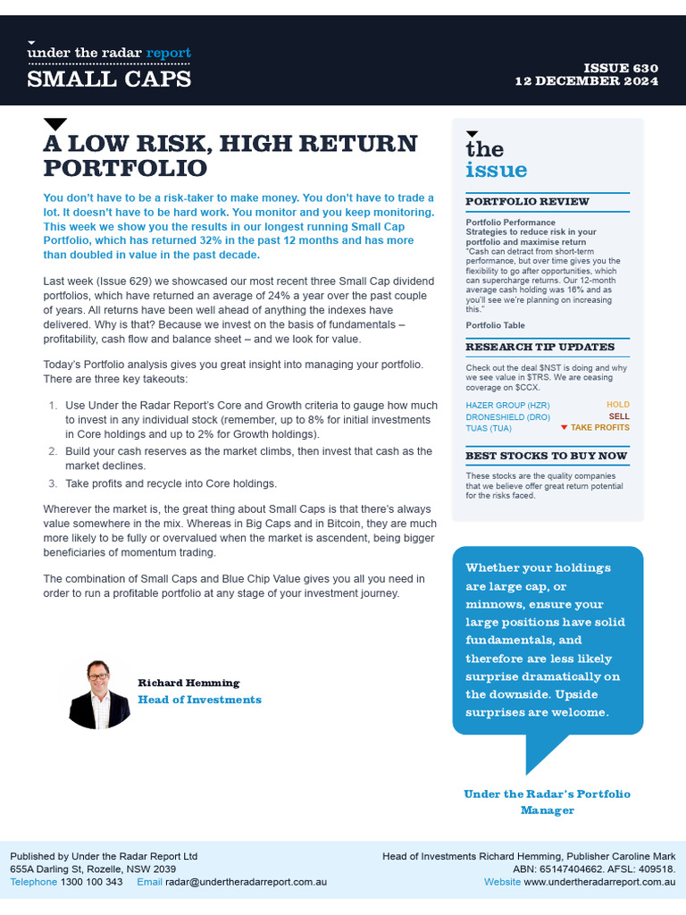 Small Cap Portfolio Review 2024 | PDF | Valuation (Finance) | Hydrogen