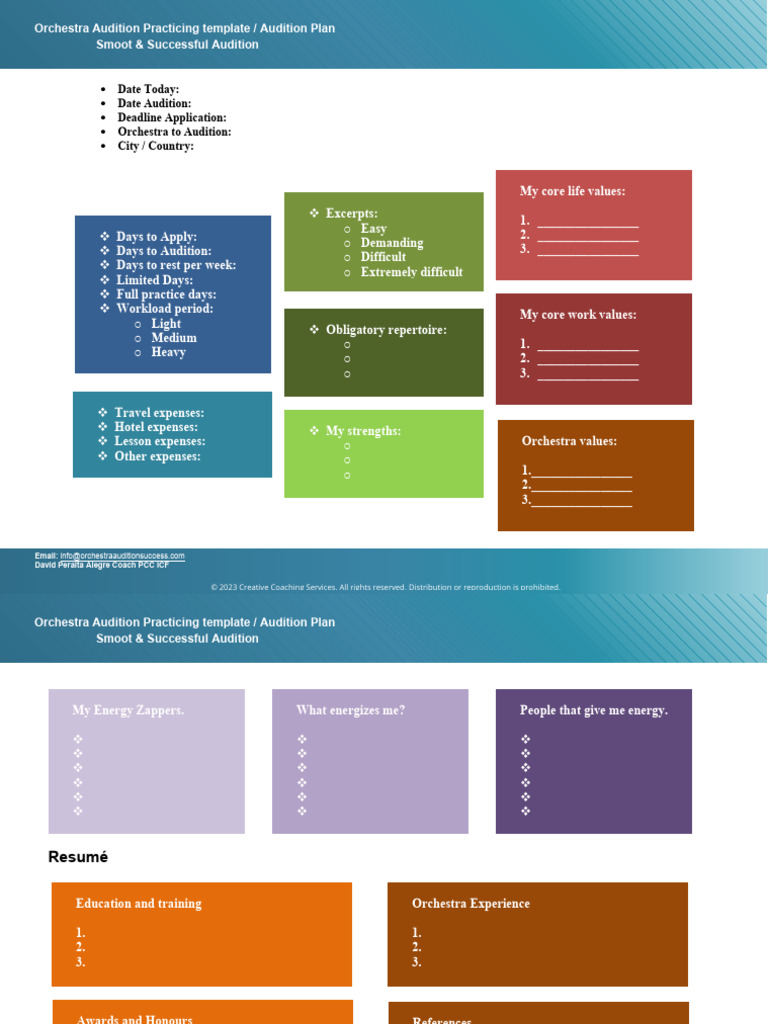 Orchestra_Audition_Practicing_template_-_Audition_Plan_-_David_Peralta ...