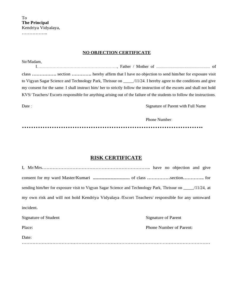 The Principal: Risk Certificate | PDF