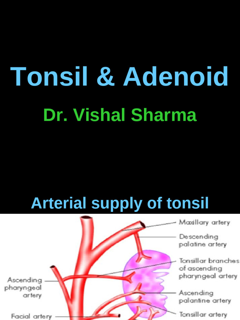 3.OTonsil & Adenoid | PDF | Lymphatic System | Lymph Node