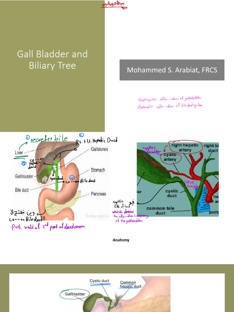 Gallbladder and Biliary Tree | PDF