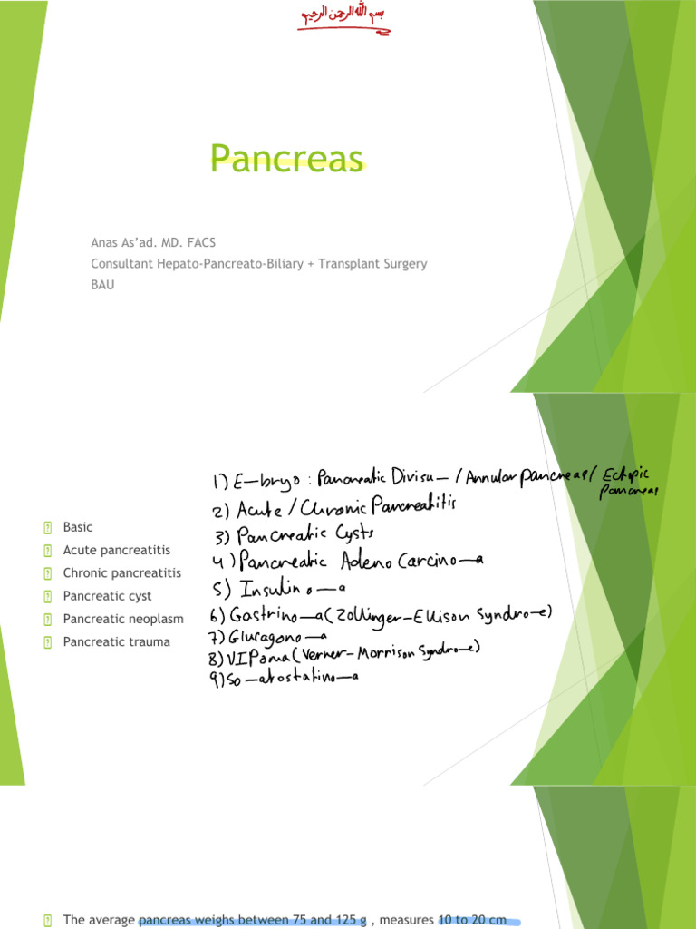 Pancreas | PDF