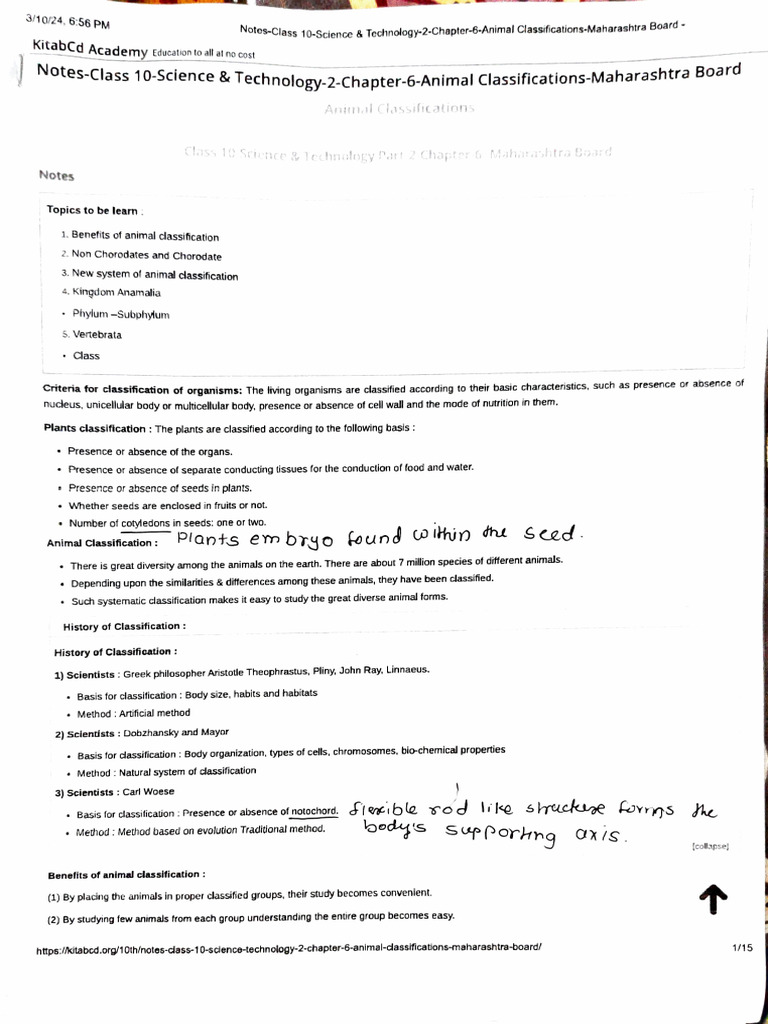 Animal Classification | PDF | Mollusca | Taxonomy (Biology)