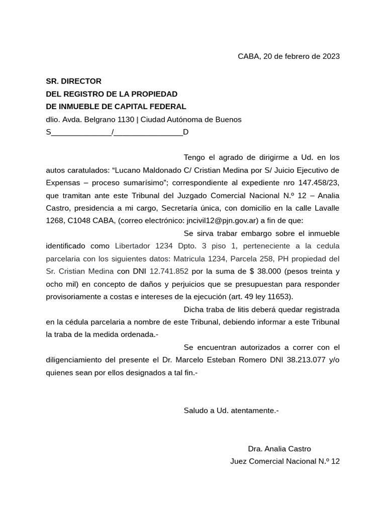 Oficio de Embargo (Práctica Profesional III P3) | PDF