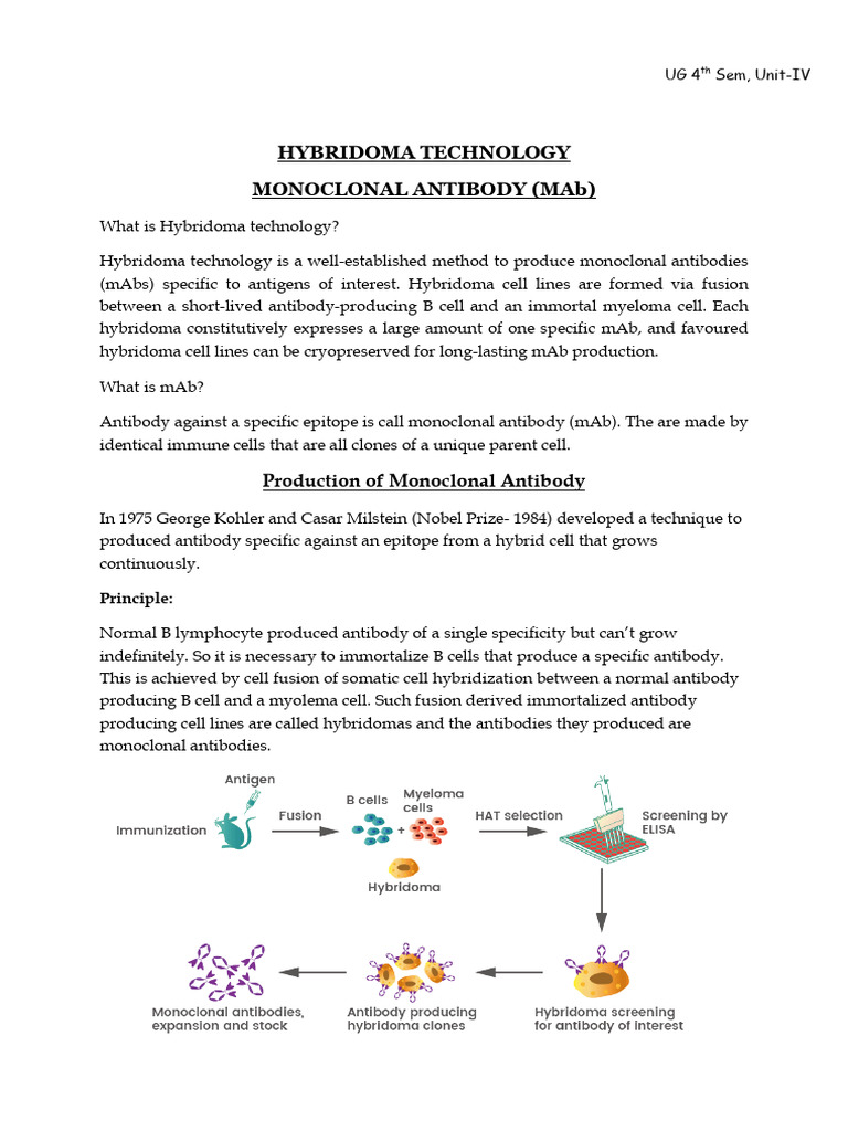 Hybridoma Technology for mAb Production | PDF | Monoclonal Antibody ...