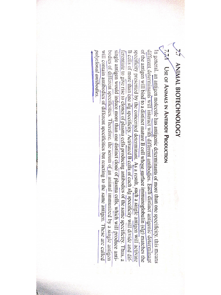 Animal Biotechnology | PDF