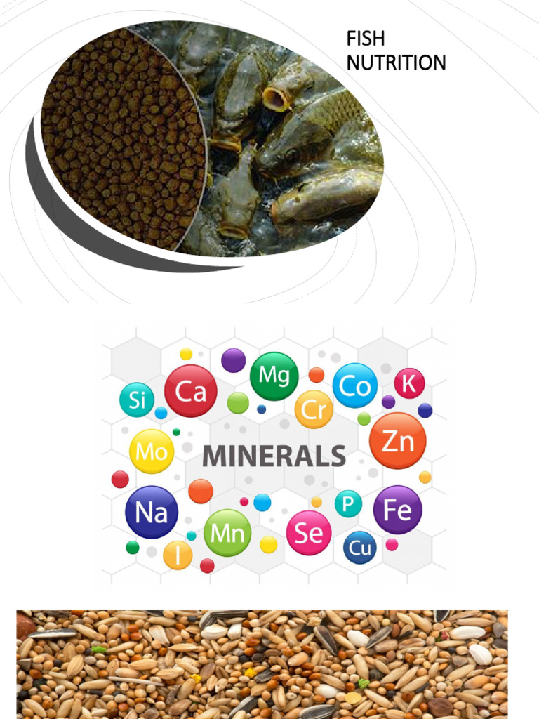 Lec 4 Minerals | PDF