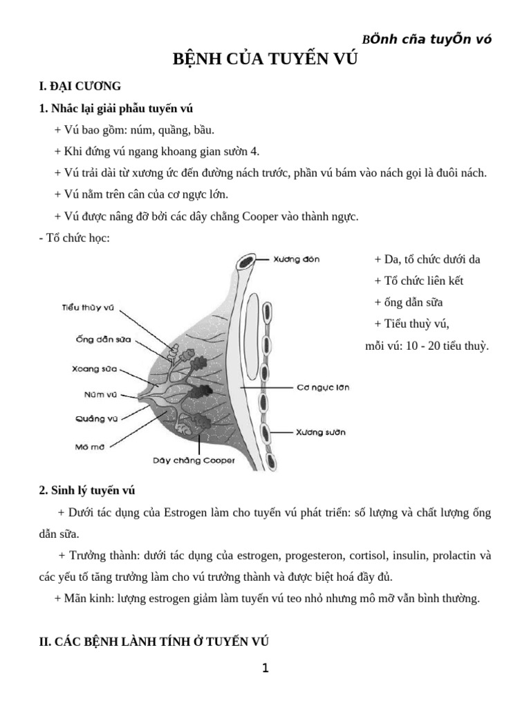Benh Cua Tuyen Vu | PDF