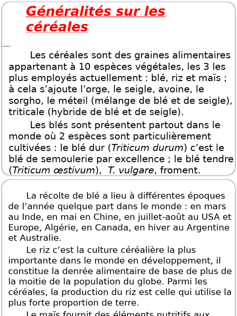 Composition chimique du grain de blé | PDF | Céréale | Blé