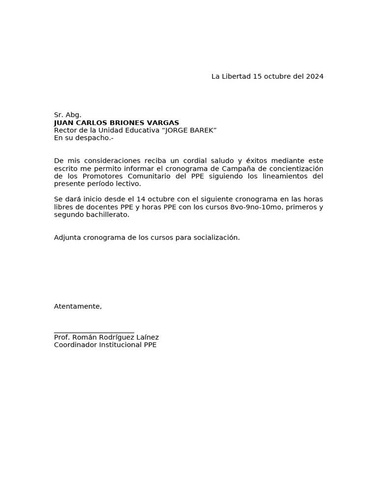 Oficio Informe Del Cronograma PPE 2024 Rector | PDF