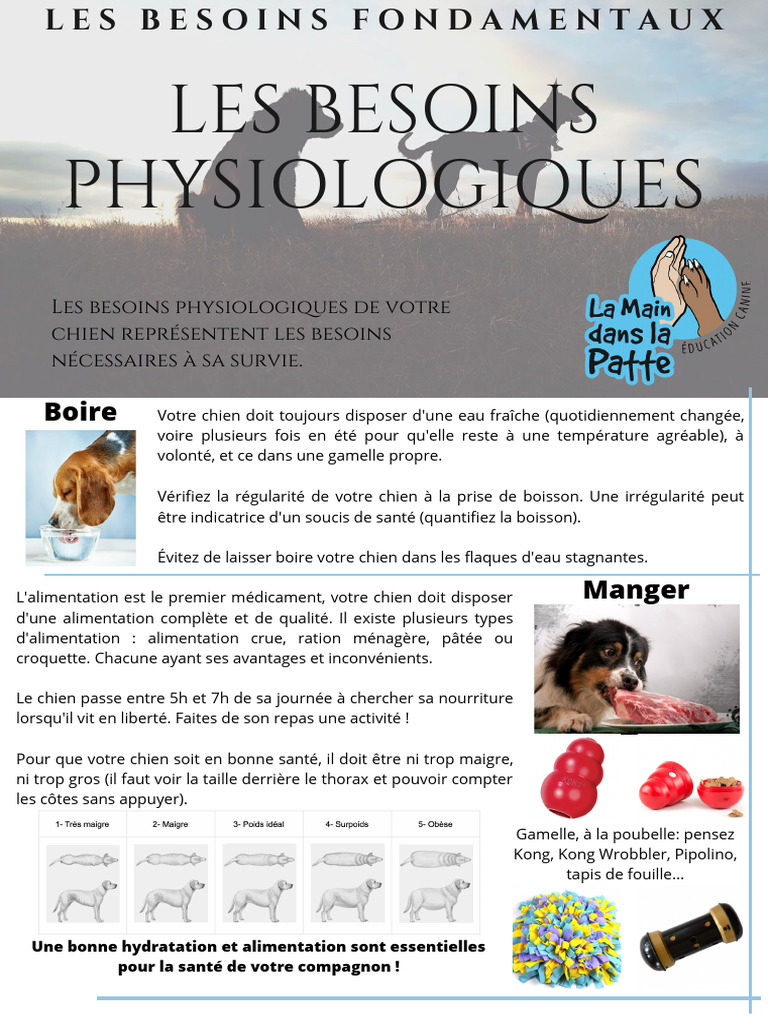 Comprendre les besoins du chien | PDF | Chiens | Apprentissage