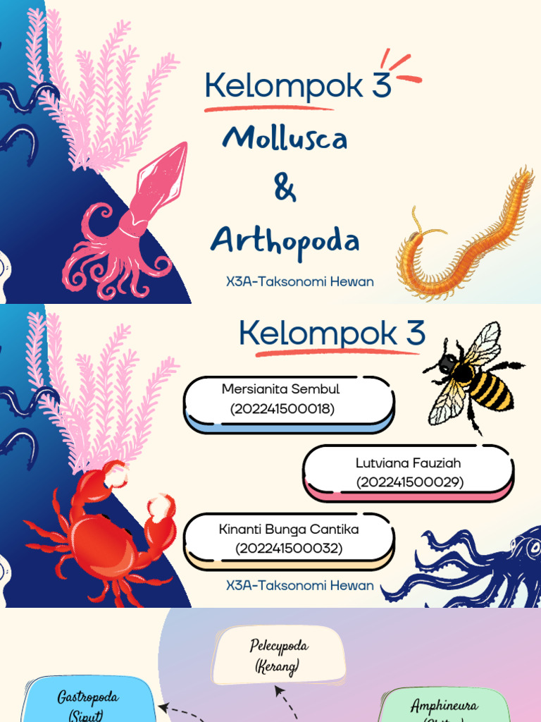 Kelompok 3 - Taksonomi Hewan | PDF