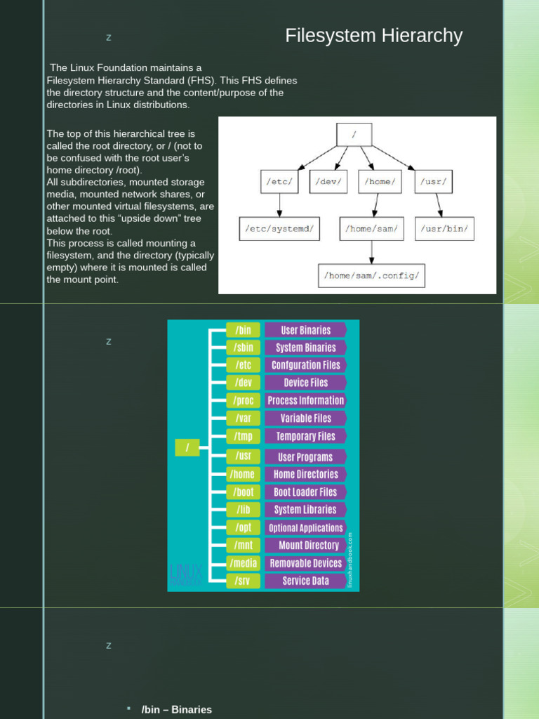 CF ppt | PDF | Directory (Computing) | File System