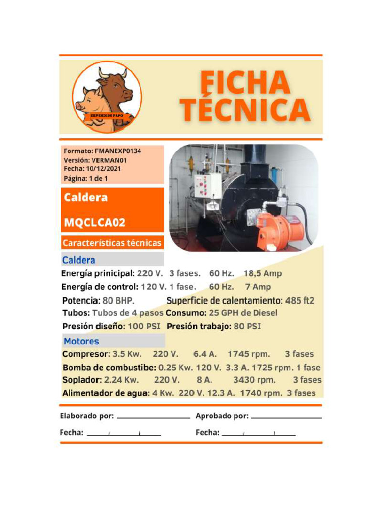 Ficha Tecnica de Una Caldera Pirotubular | PDF