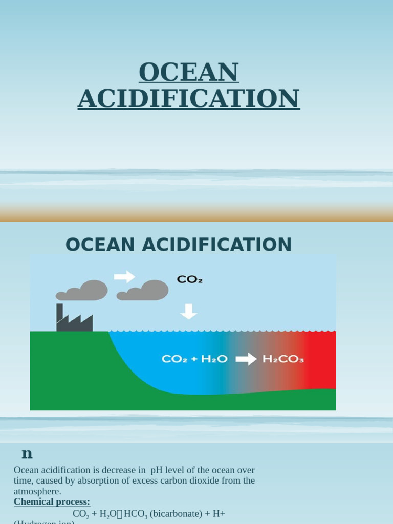 Ocean Acidification | PDF | Ocean Acidification | Oceans