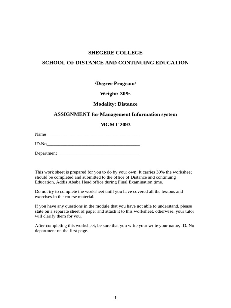 MIS Assignment | PDF