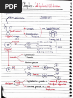 JR Botany Ipe Baby Bullet | PDF | Leaf | Fertilisation