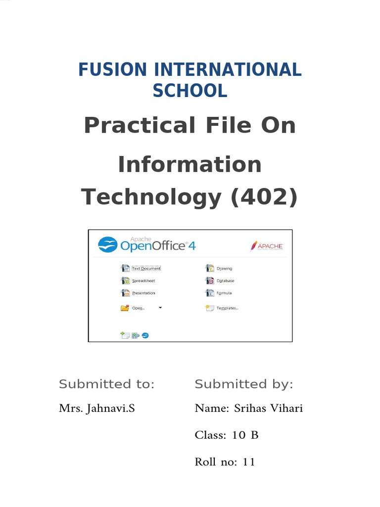Sample Practical File 24-25 | PDF | Spreadsheet | Text File