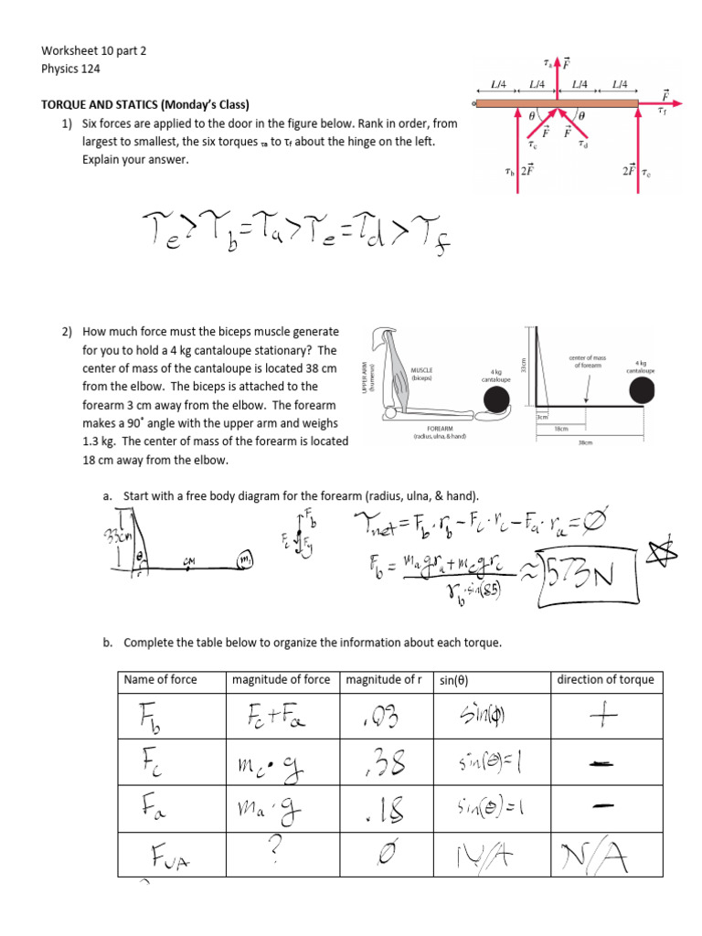 Torque and Statics Worksheet 10 Part 2 | PDF | Force | Elbow