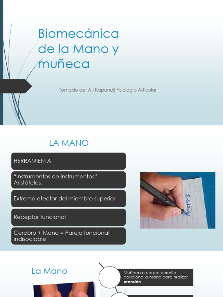 Biomecanica de La Mano y Muñeca | PDF | Mano | Articulaciones