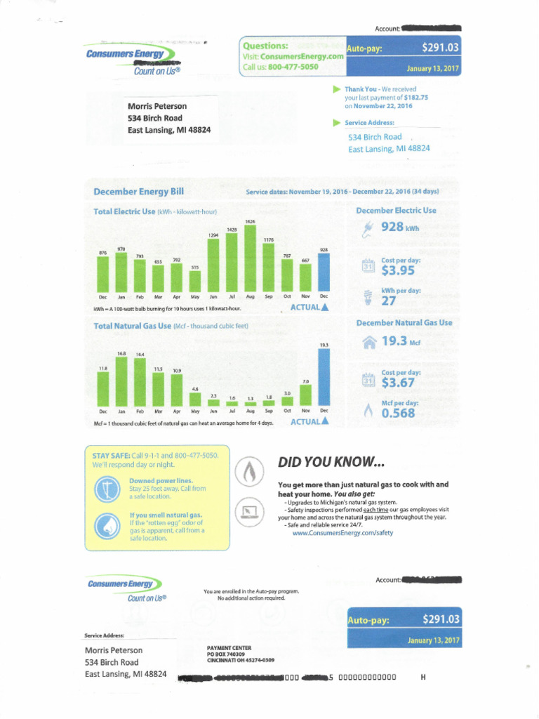 Peterson Consumers Energy Bill | PDF