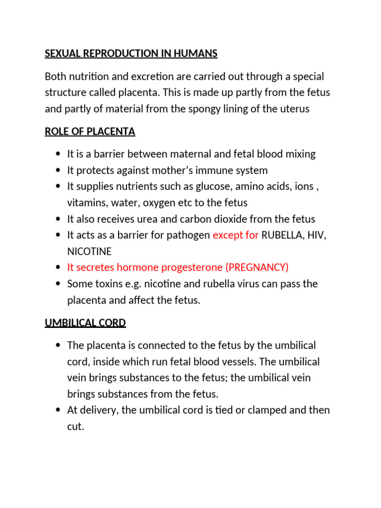 Understanding Human Reproductive Anatomy | PDF